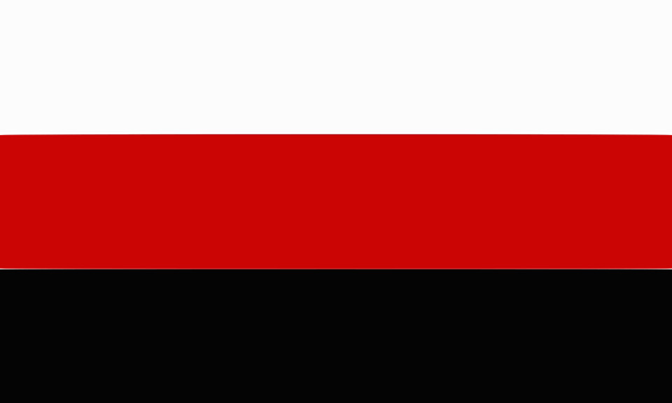 Ukraine Party Flag Batkivschina CUN National Corps UPA OUN-M Svoboda ...