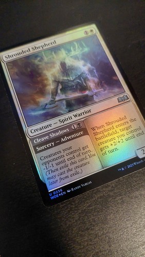 Shrouded Shepherd 236 Foil Magic the Gathering card | eBay