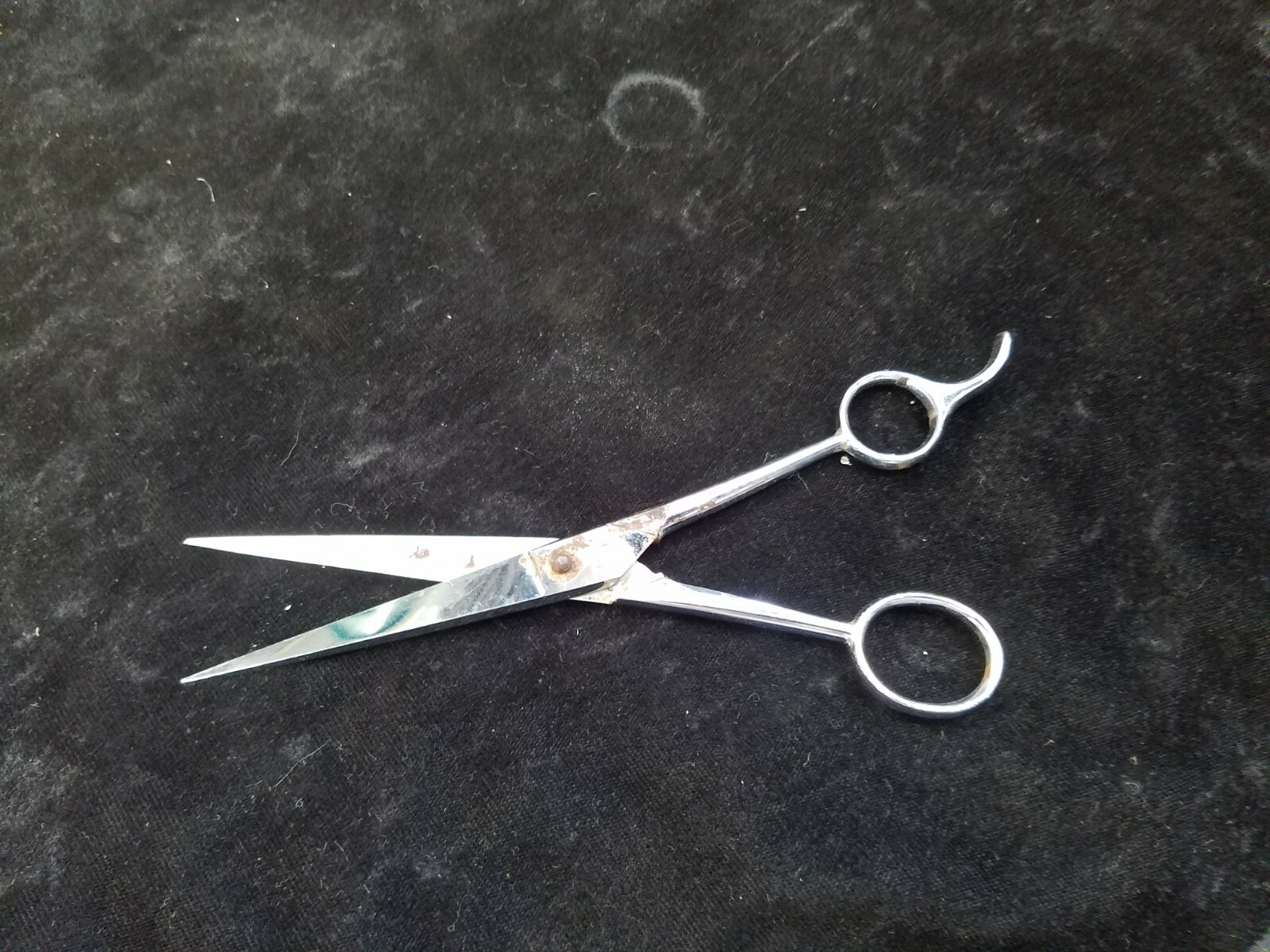 Vintage KAYSER Germany 770-7 Chrome Haircutting Barber Scissors 7 1/4 ...