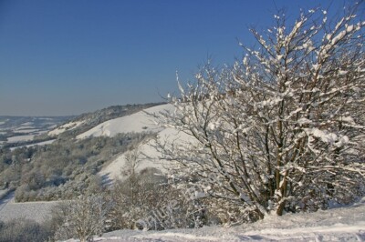 Photo 6x4 View from Simpson Memorial Reigate Looking along the line of ...