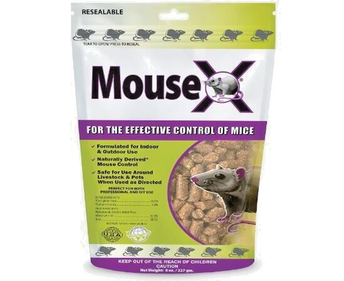 Ecoclear Products 620200-6D Mousex All-Natural Poison Free Humane for ...