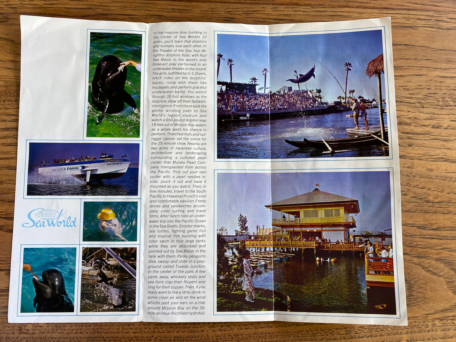 Vintage Sea World San Diego CA Brochure Dolphin Mission Bay Park ...