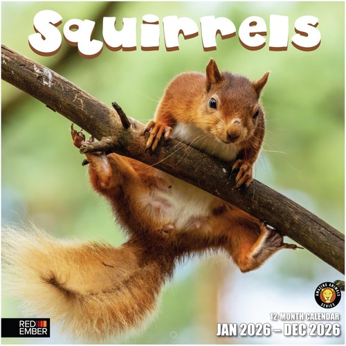 RED EMBER Squirrels 2026 Wall Calendar 12 Month | 12” x 24” Open ...