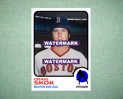 Craig Skok Boston Red Sox 1973 Style Custom Baseball Art Card | eBay