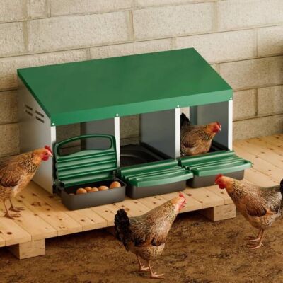 Chicken Hen Coop Hutch 3 Hole Inside Outside Roll Away Lay Egg Nesting ...