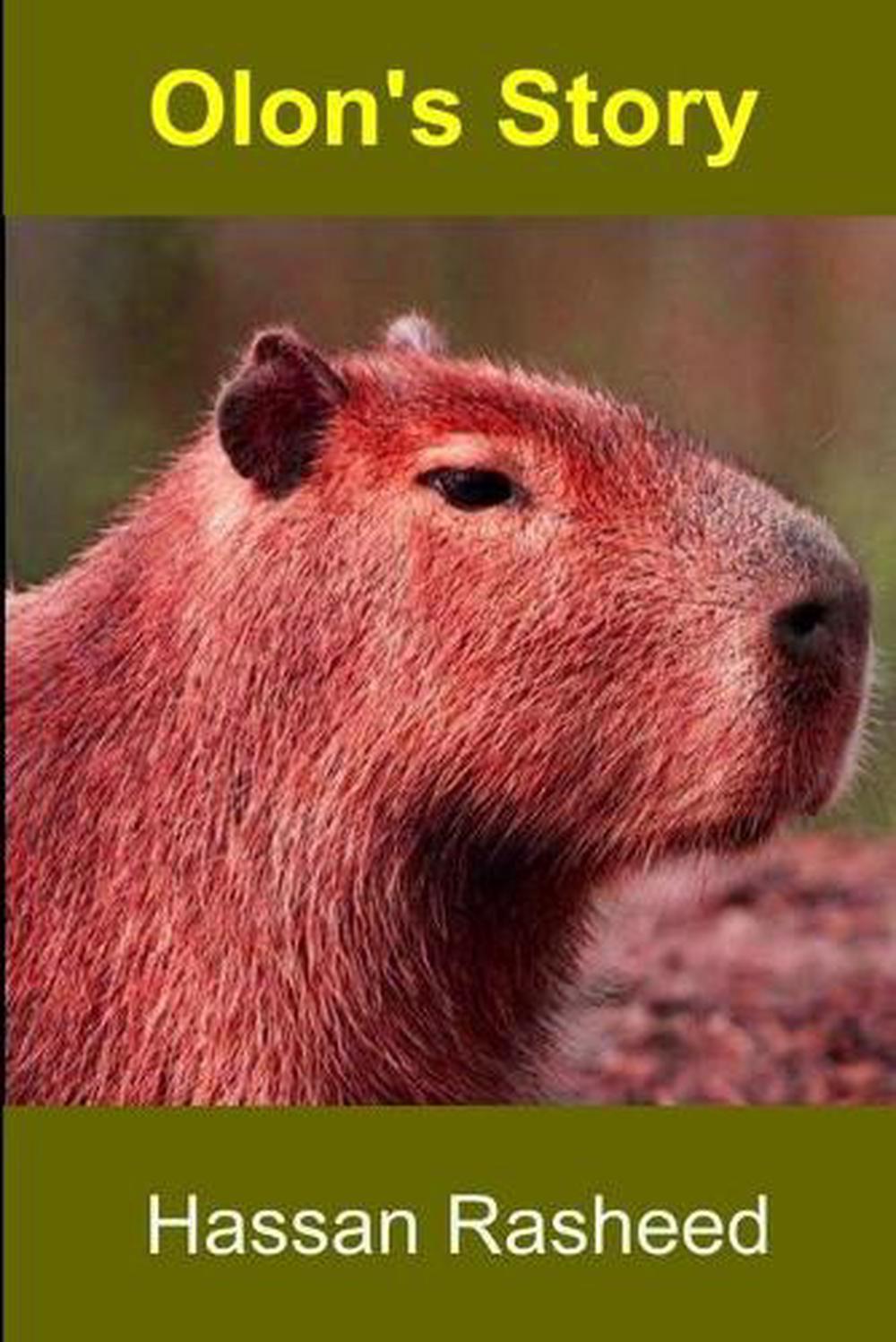 Olon's Story by Hassan Rasheed (English) Paperback Book 9780359365401 ...