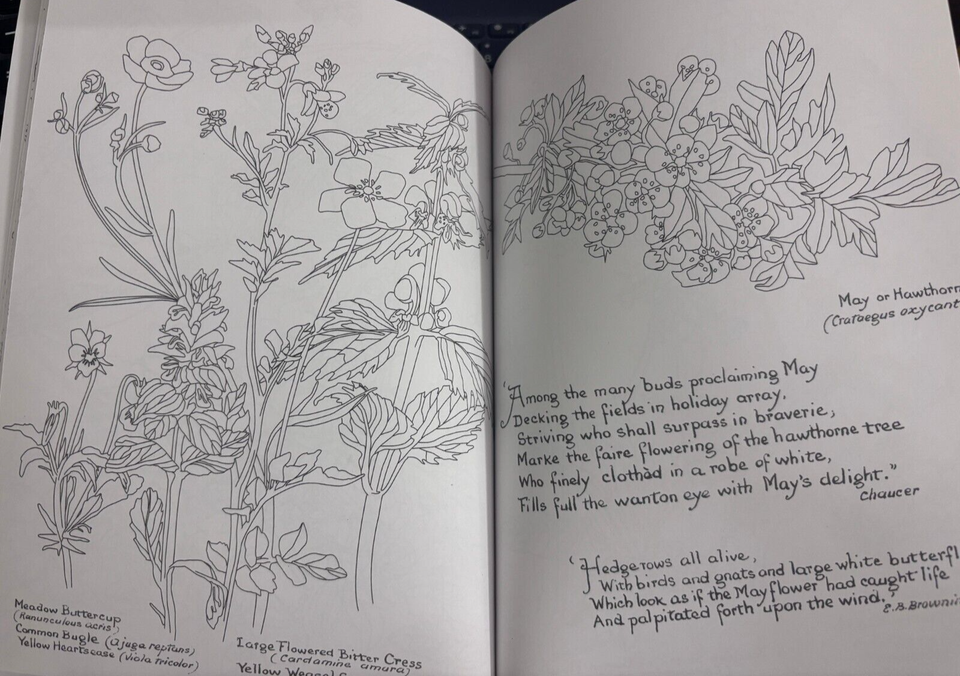 The Country Diary of an Edwardian Lady Colouring Book - by Edith Holden ...