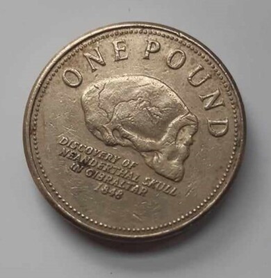 2013 Neanderthal Gibraltar Skull One Pound Coin | eBay UK