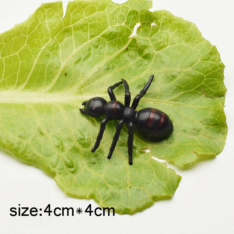 10 Pcs Fake spider/Fly/ant/snake/cockroach Plastic Insect Bugs mischief ...