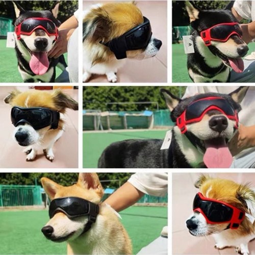 Fashion Pet Dog Doggles Goggles UV Sunglasses Sun Glasses Eye Wear ...