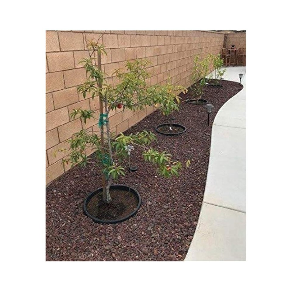 3 Pack of 24 in Planting Rings. Edging and Water Retention. Protects ...