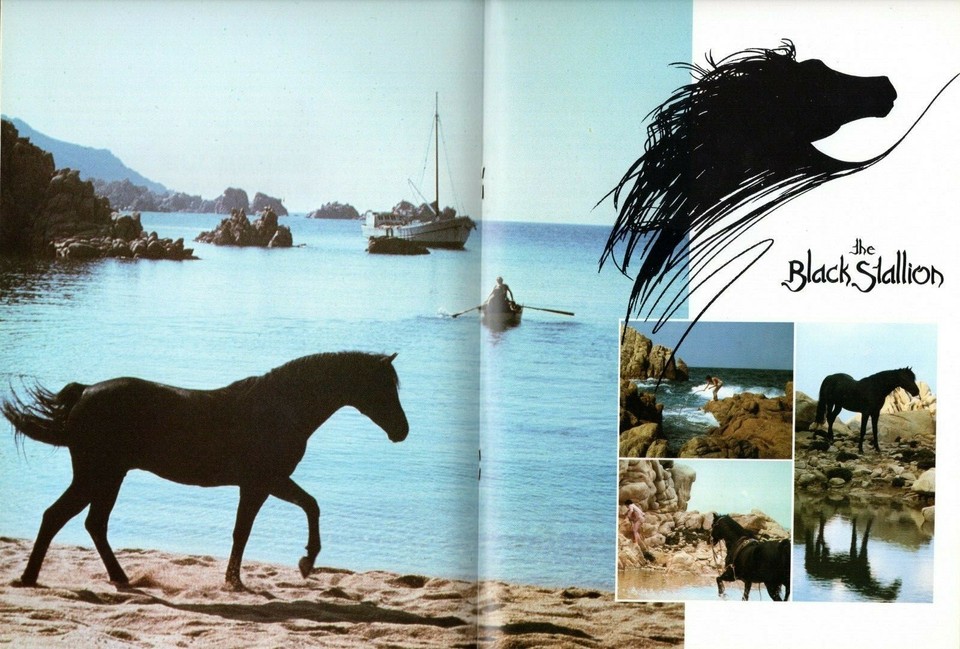 THE BLACK STALLION 1980 JAPAN MOVIE PROGRAM BOOK-MICKEY ROONEY-HORSE ...