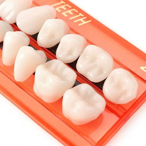 28Pcs/Set Resin Teeth Model Dentures Universal Resi False Teeth ECA | eBay