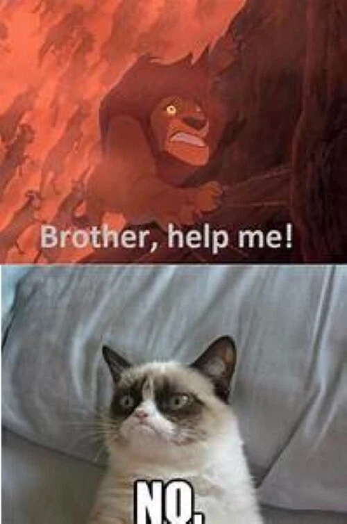Grumpy Cat Brother