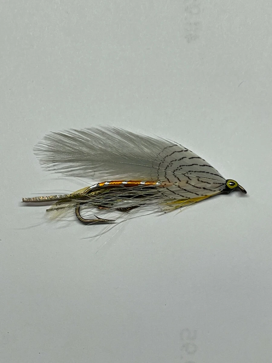 Grey Ghost Fly