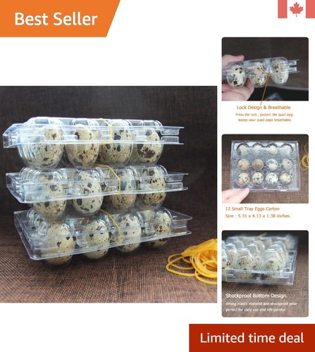 Bulk 25 Count Quail Egg Cartons - Clear Rectangular Containers with ...