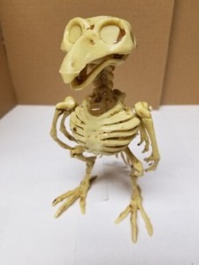 Possums Baitshop | eBay Stores