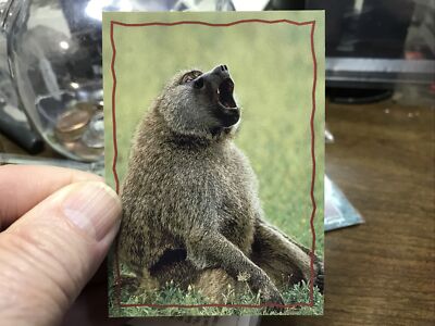 Walt Disney The Lion King Trading Card Series TWO # 158 THE BABOON | eBay