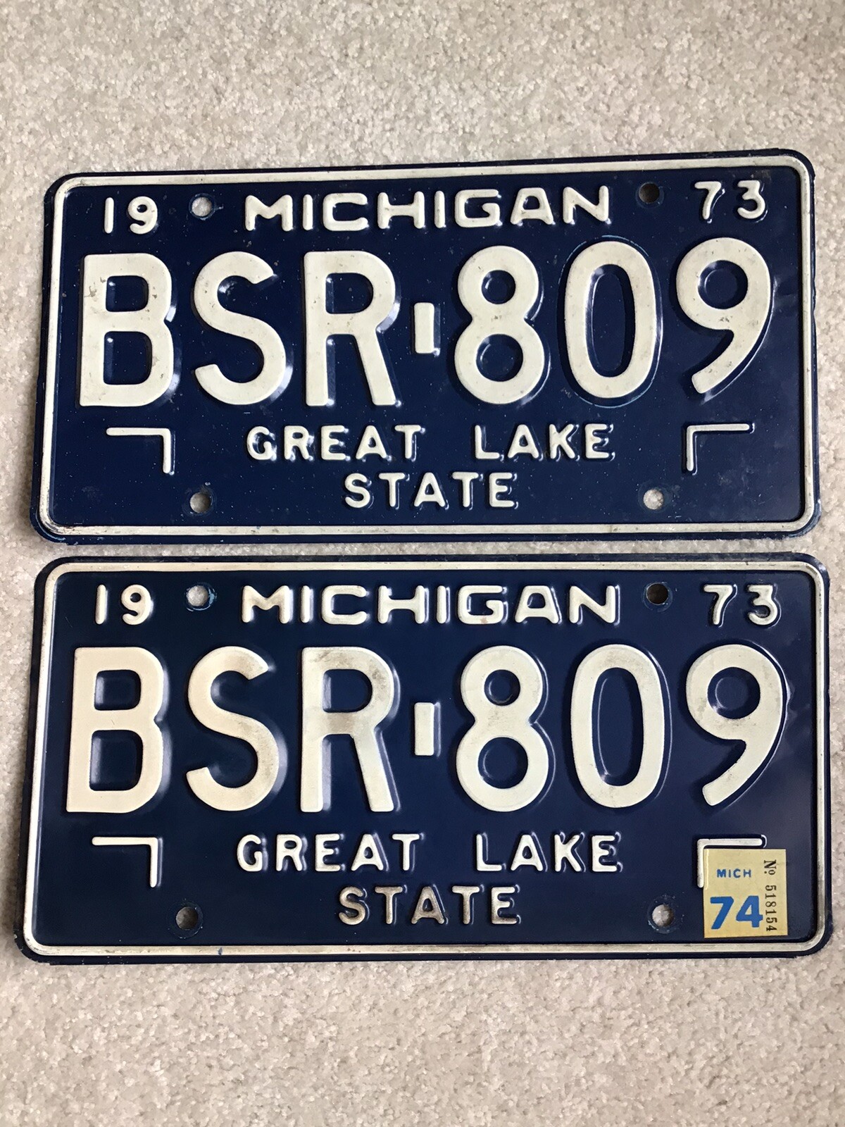 MICHIGAN 1973 MATCHED LICENCE PLATE SET OF 2 GREAT LAKE STATE BSR-809 ...