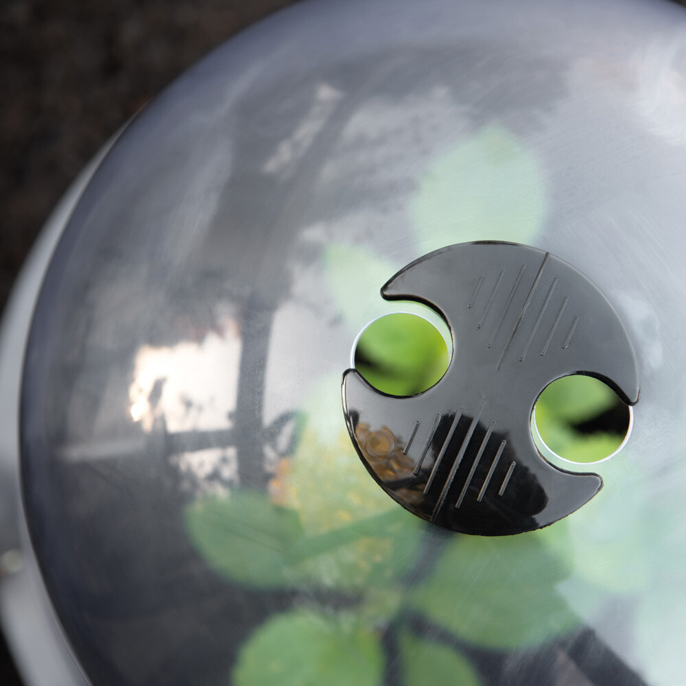 Bell Cloches Garden Protection for Plants Plastic 1, 3, 5 x Bell ...