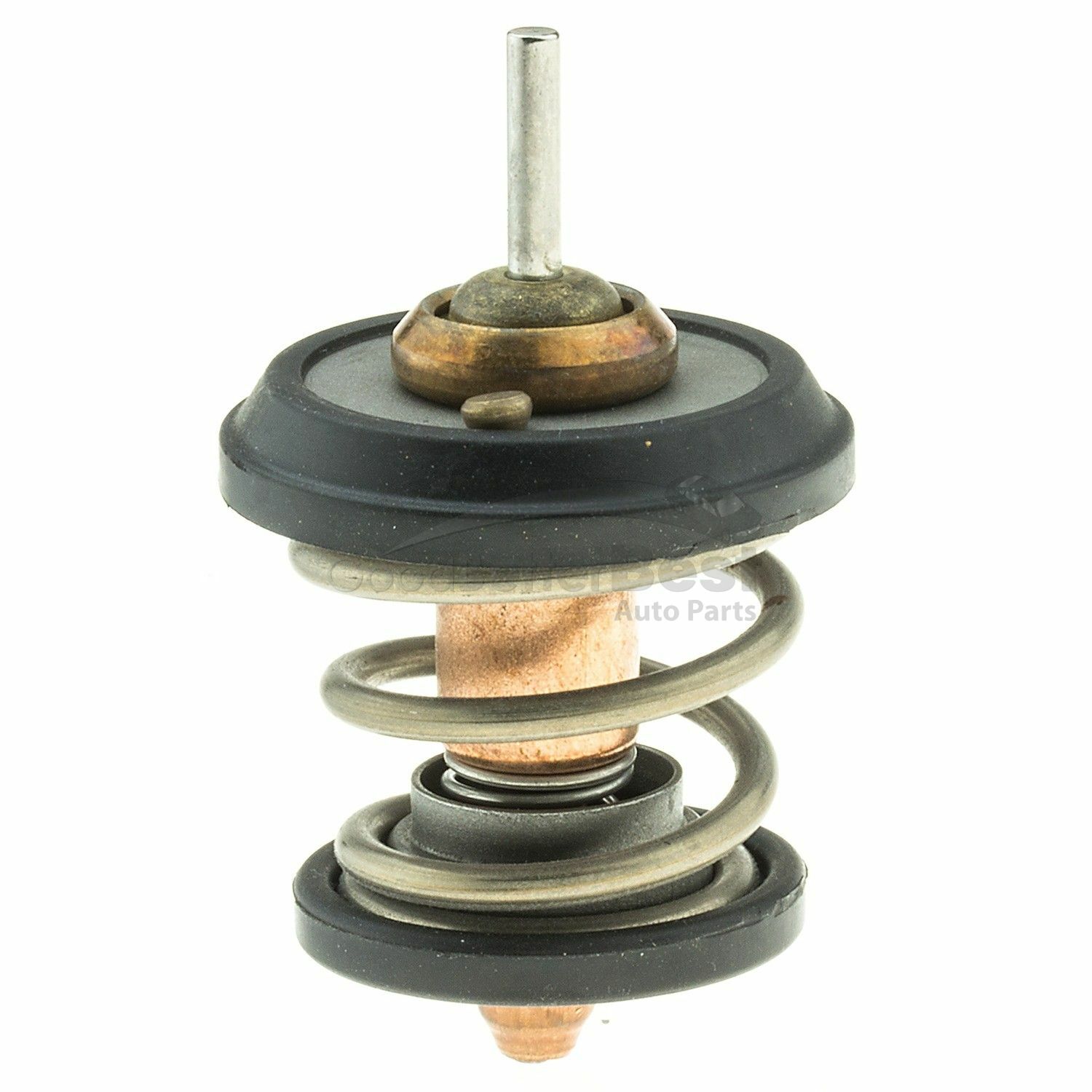 One New Motorad Engine Coolant Thermostat 707203 06H121113B for Audi ...