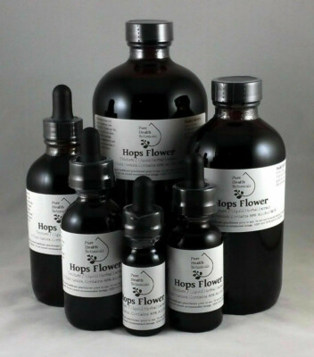 Hops Flower Tincture, Extract, Sleep Aid, Calming, Humulus Lupulus ...