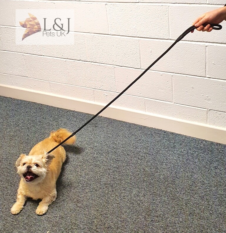 Strong Nylon Rope Dog choke leash Puppy Training Slip On Rope Lead Stop ...