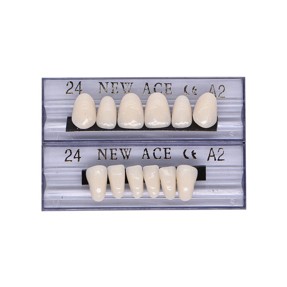 168pc Dental Acrylic Resin Tooth Shade 24# A2 Denture Full Set Teeth ...