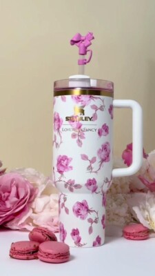 Loveshack Fancy Ribbon Rosa Stanley 40oz | eBay