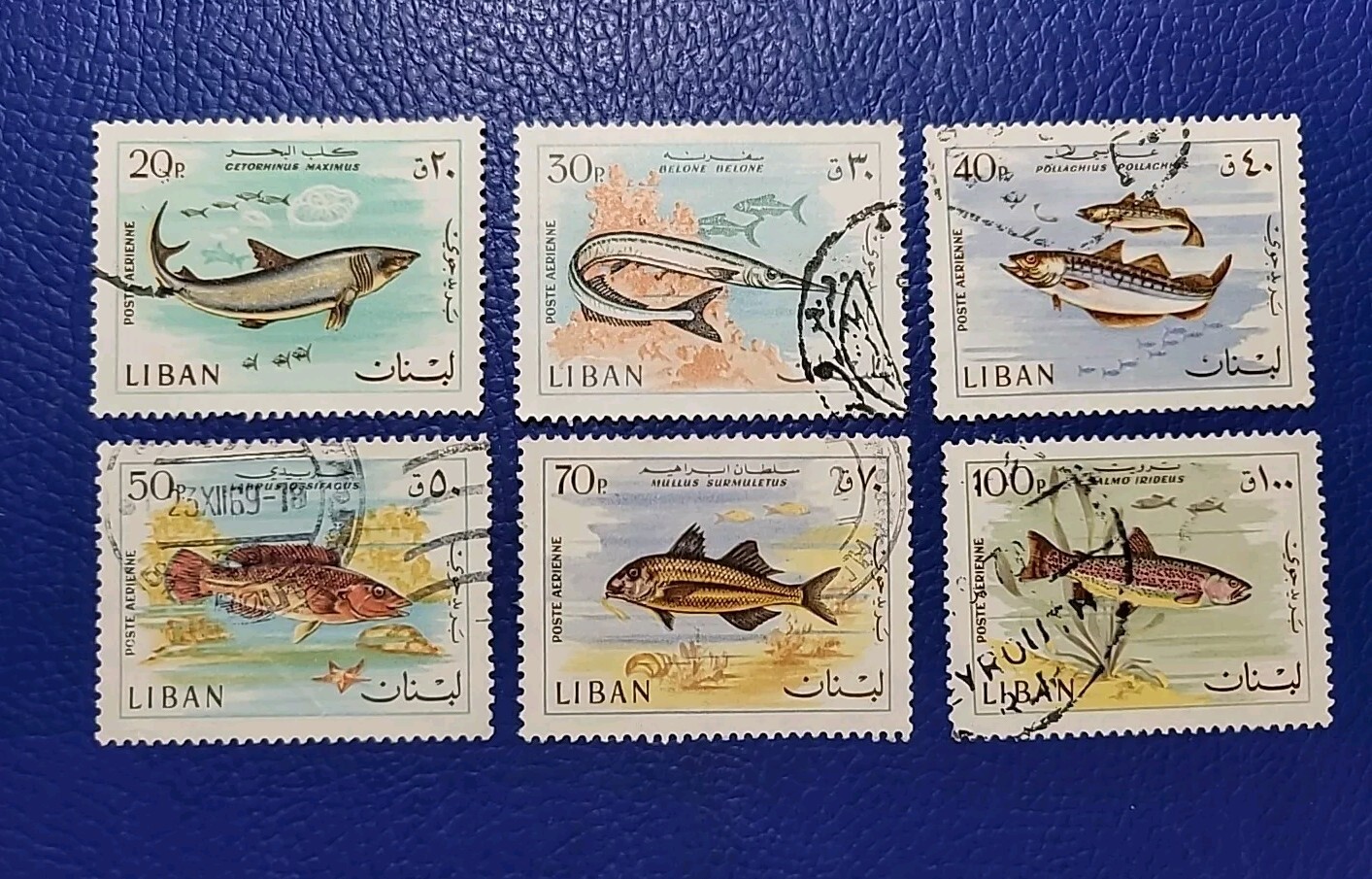 Lebanon 1968 Sc# C534-539 Basking Shark Needlefish Pollack Cuckoo ...