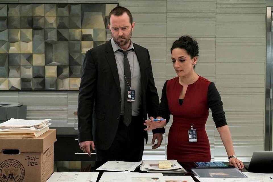BLINDSPOT SEASON 2 - TV SERIES (DVD) Jaimie Alexander Sullivan ...