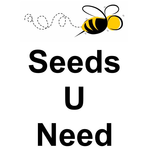 Pumpkin Cherokee Bush Vegetable Seeds Burpee 4g 11/21 for sale online ...