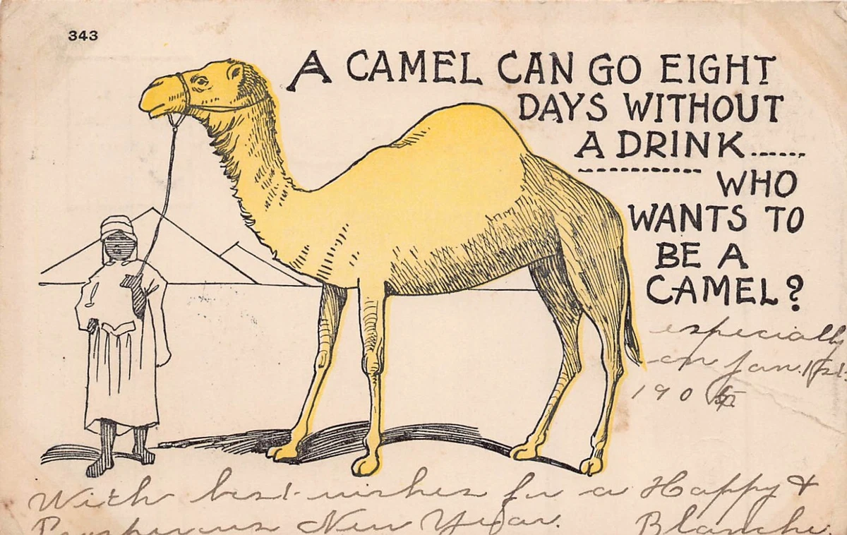Subliminal Advertising Camel