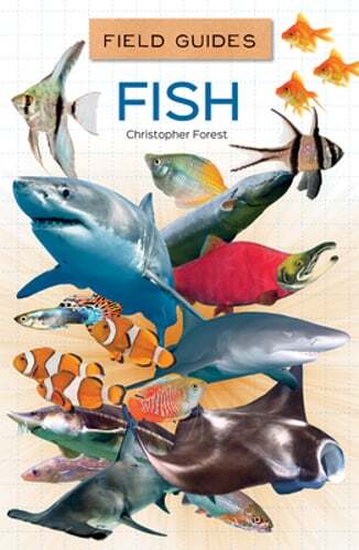 Fish by Christopher Forest: New 9781532193057| eBay