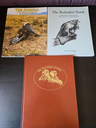 The Red-tailed Hawk / Signed by Liam J. McGranaghan / + Hawking Mag ...