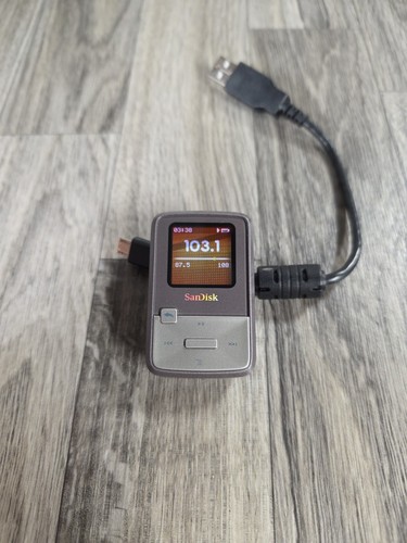 WORKS SanDisk Sansa Clip Zip Grey 4GB MP3 Player FM Radio USB Accepts ...