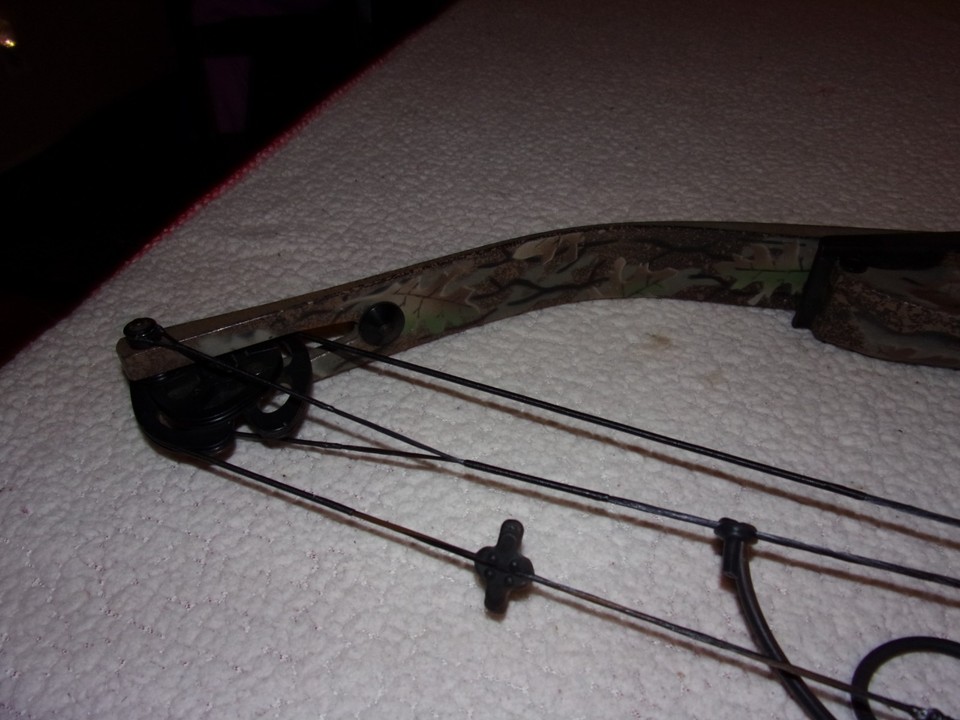 Hoyt Raptor Excel Compound Bow | eBay
