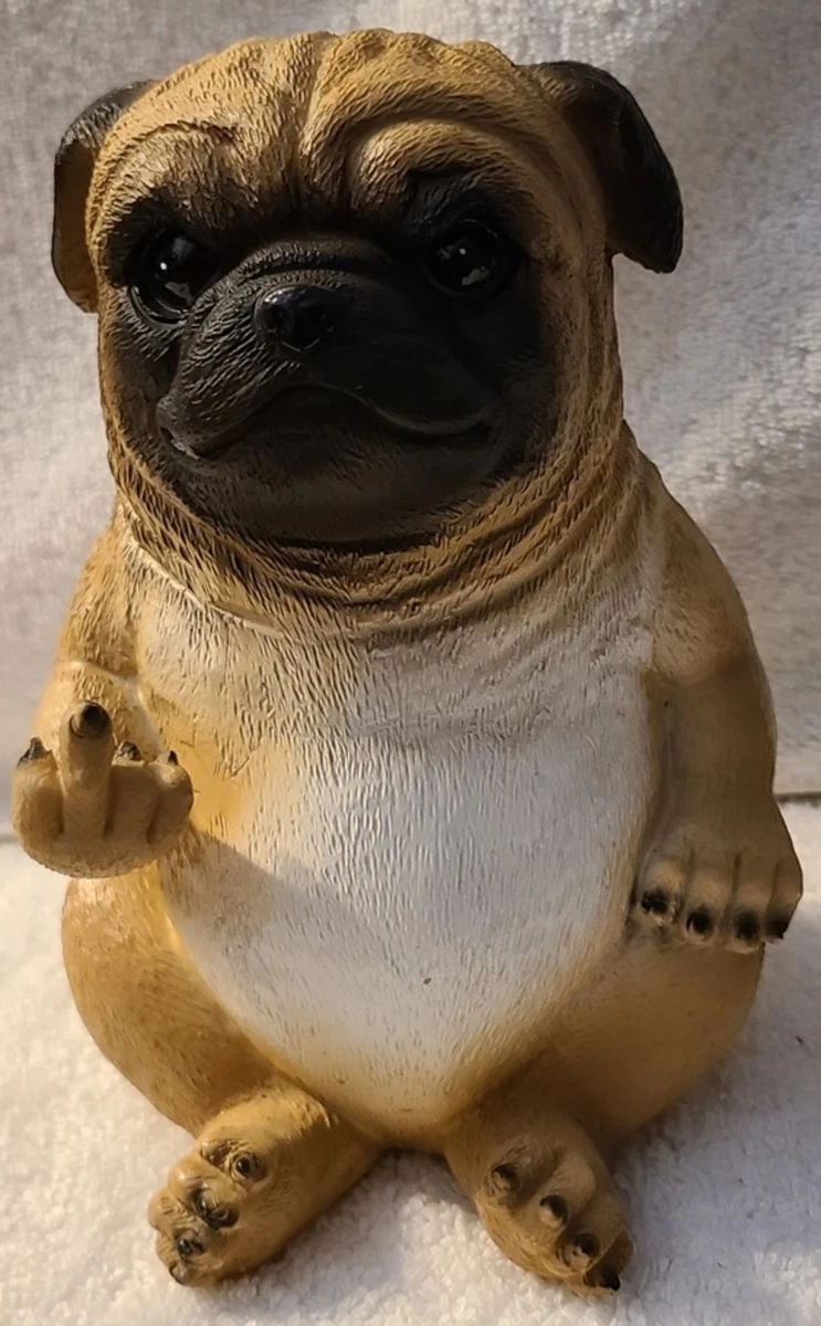 Animals Middle Finger