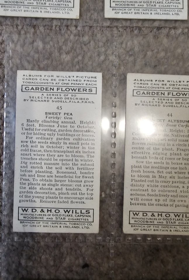 W.D. & H.O. Wills – G Flowers –Complete Set of 50 Vintage Cigarette ...