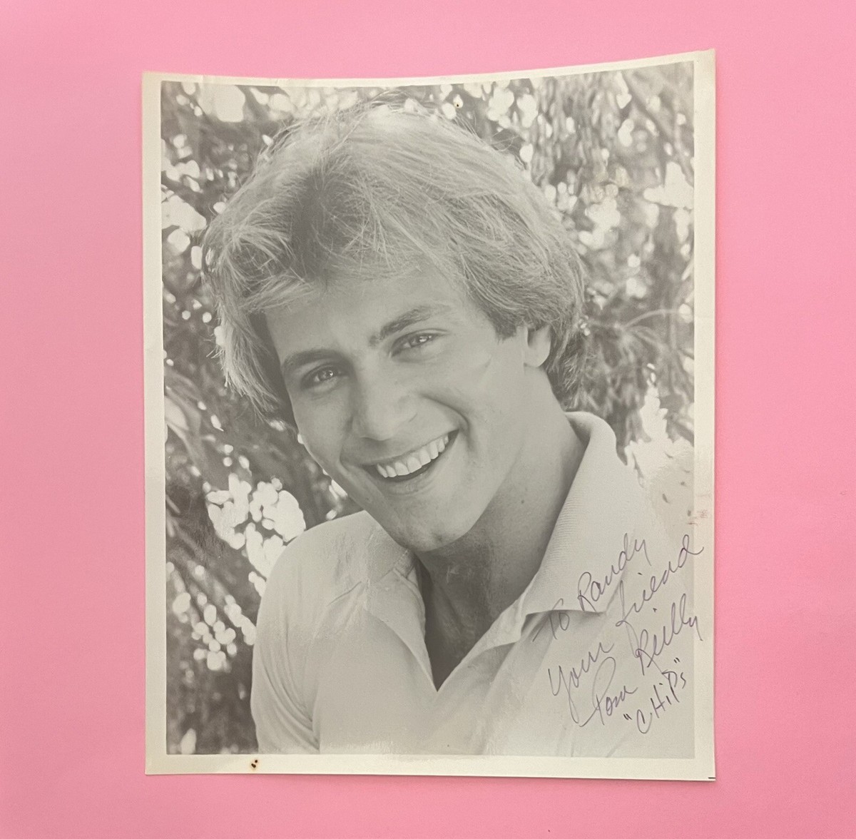 Tom Reilly Chips Now