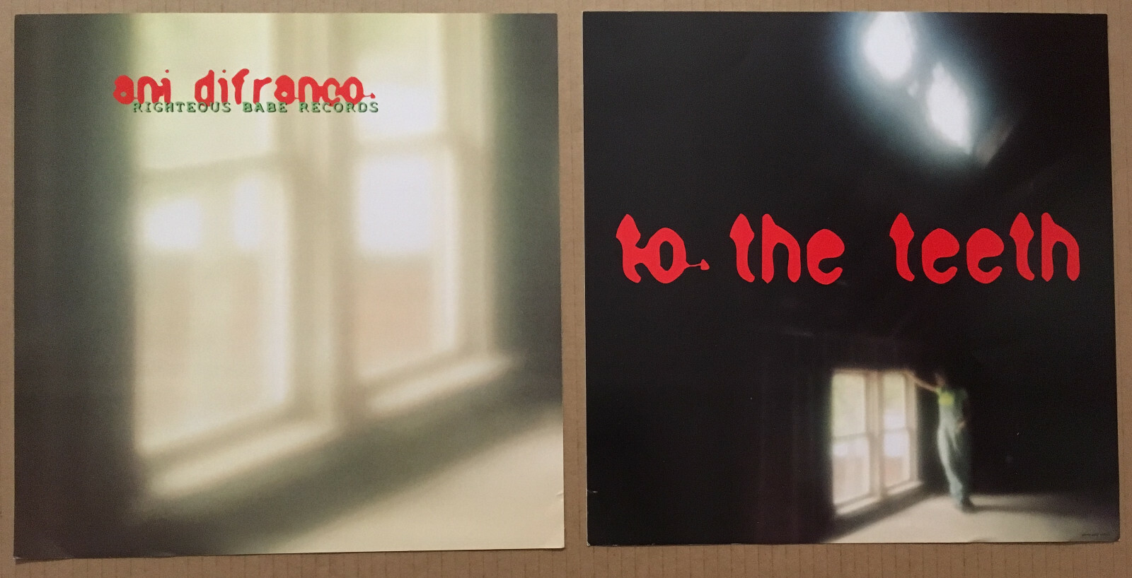 ANI DIFRANCO Rare 1999 DOUBLE SIDED PROMO POSTER FLAT for Teeth CD USA ...