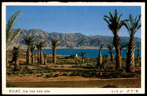 Judaica Israel Old Postcard Eilat view to the bay | eBay