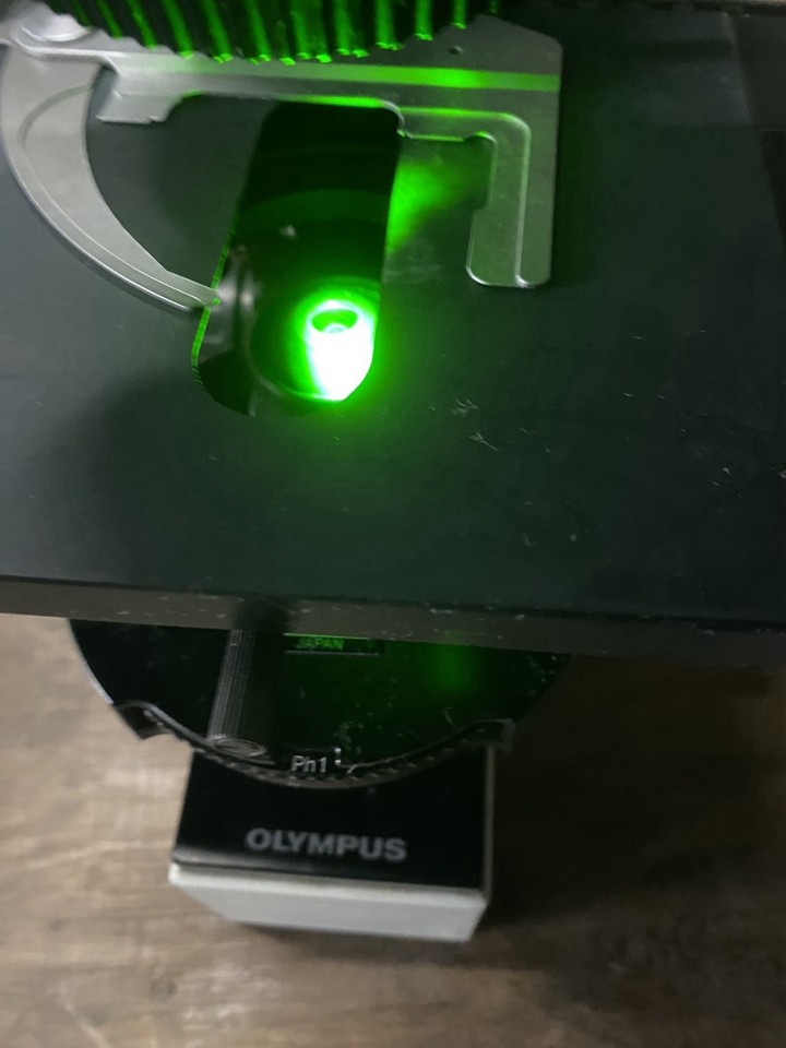 Olympus BX50 Fluorescence Microscope w/ Light Source & Filters – No ...