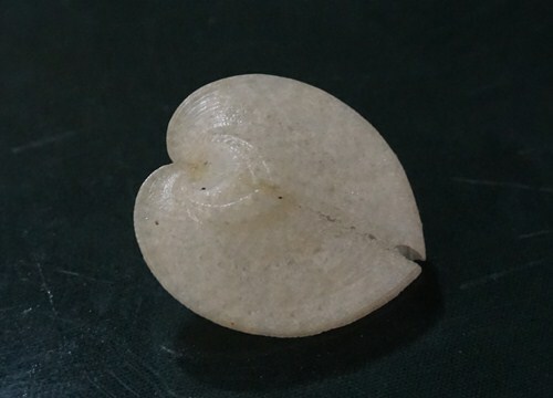 Corculum Cardissa 26 mm F+++/GEM , nice COLOR, TINY gorgeous heart ...