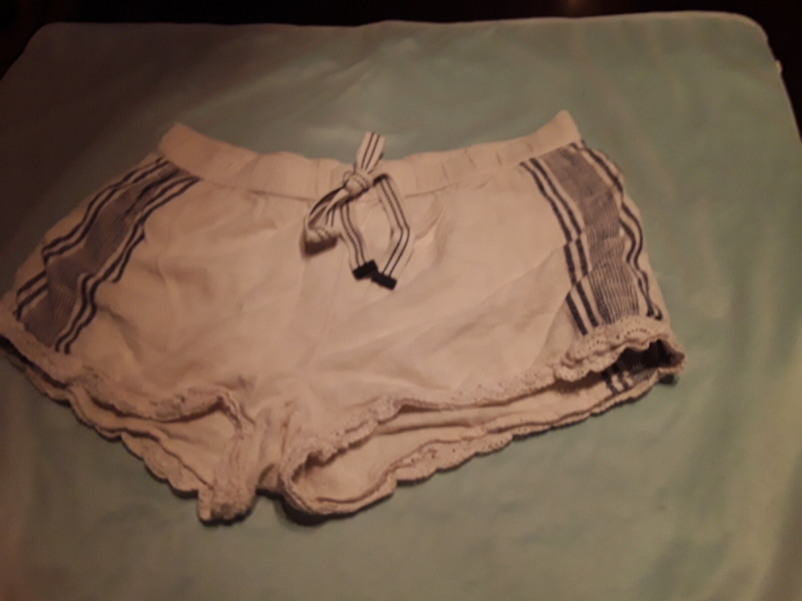 aerie white and blue embroidered shorts large - Gem