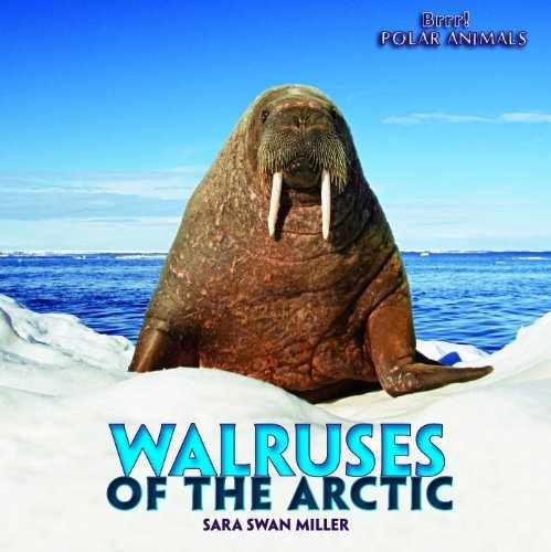 Walruses of the Arctic - Library Binding, by Miller Sara Swan ...