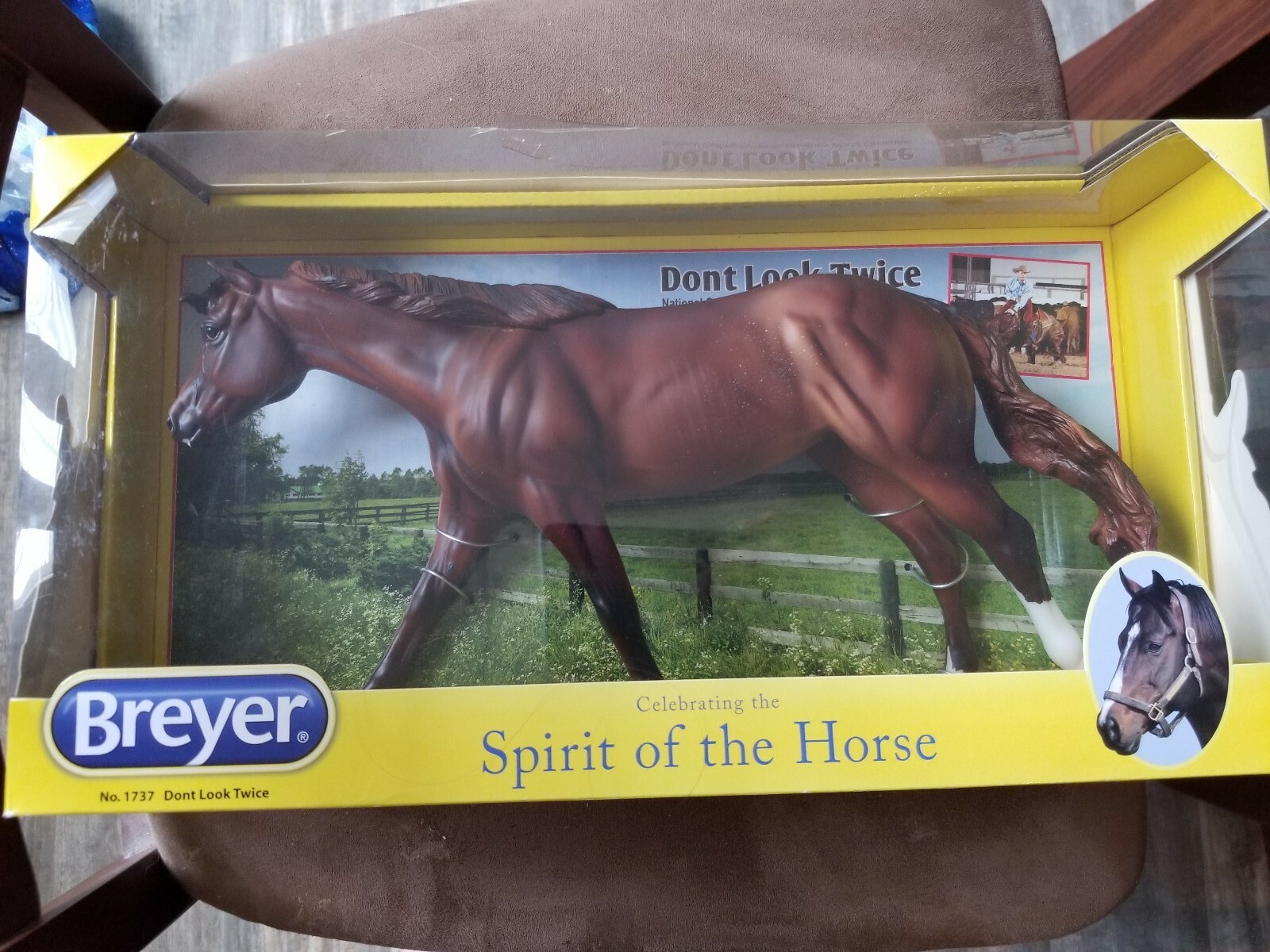 BREYER Don't Look Twice #1737 cutting horse roxy mold don't [DMG] | eBay