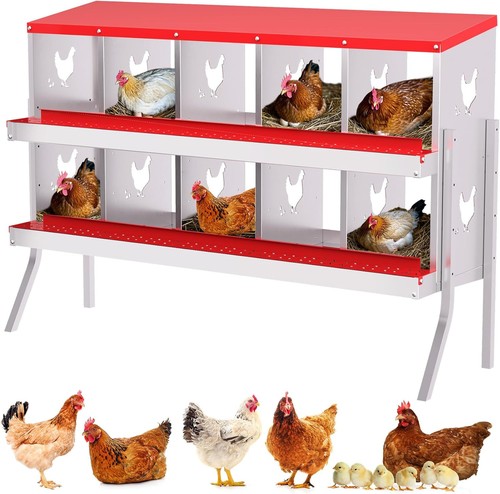 Chicken Nesting Box 10 Compartment Metal Easy Collection Cleaning W ...