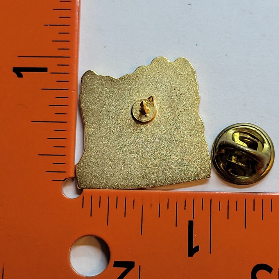 South Dakota VICA Pin - Vocational Industrial Clubs Of America | eBay