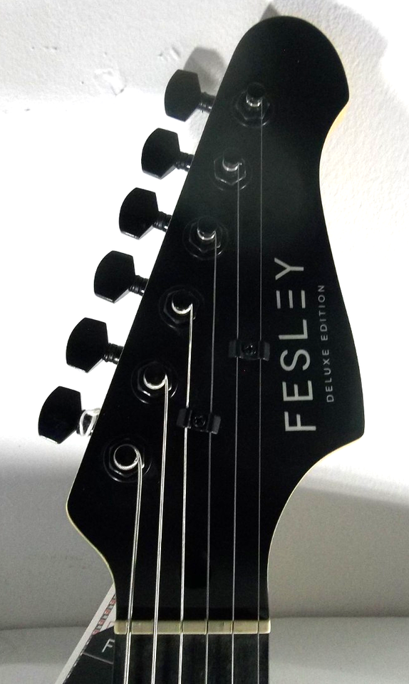 Fesley Deluxe Edition Electric Guitar ST Style, Matte Gray HSS – Used ...
